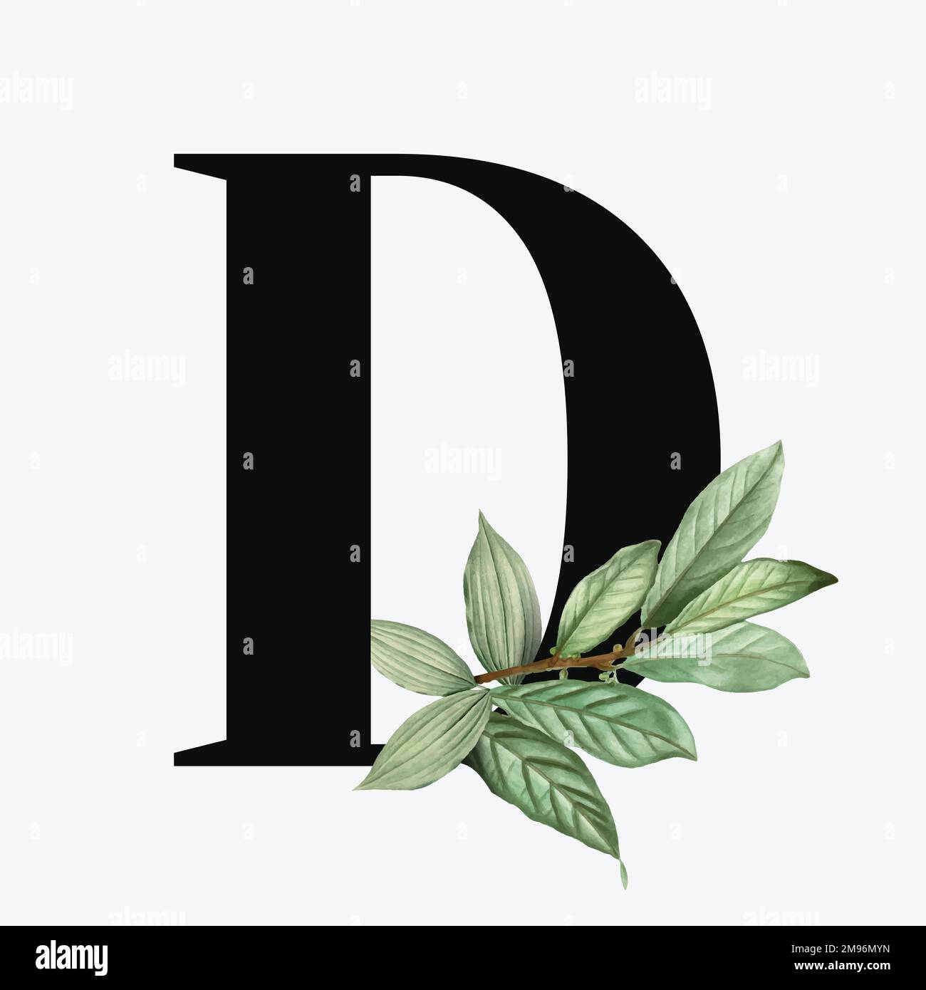 Botanical capital letter D vector Stock Vector Image & Art - Alamy Botanical capital letter D vector Stock Vector Image & Art - Alamy