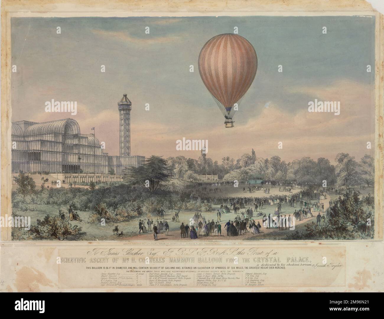 List of scientific names hi-res stock photography and images - Alamy