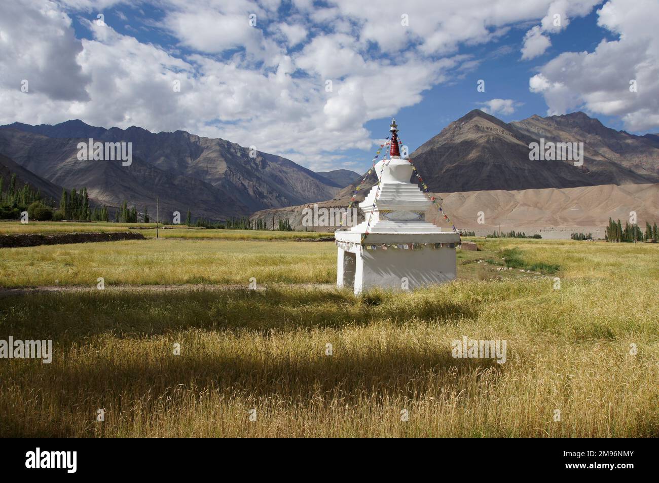 India, Jammu and Kashmir, Ladakh, Basgo: Landscape, chorte Stock Photo ...