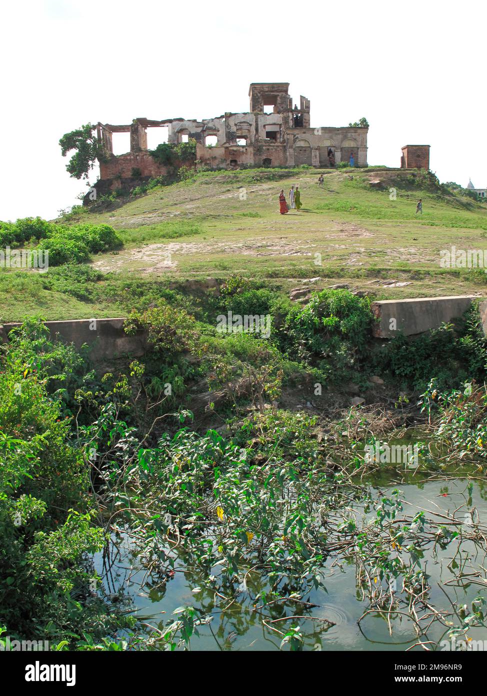 Qassims hi-res stock photography and images - Alamy