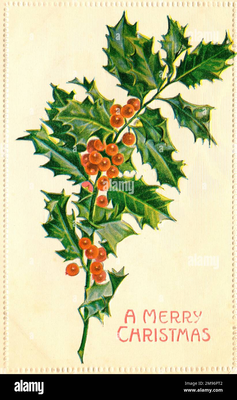 A sprig of holly with berries Stock Photo - Alamy