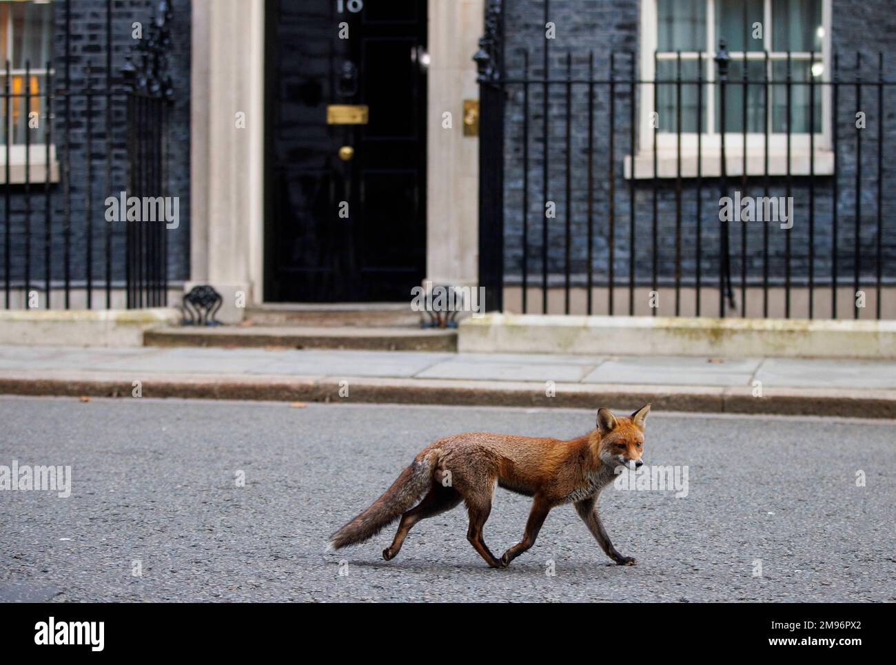 10 jan 2023 hi-res stock photography and images - Alamy