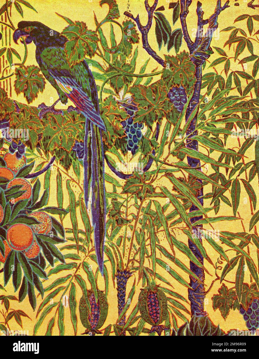 Fabric design featuring a Macaw parrot perched on a branch, surrounded ...