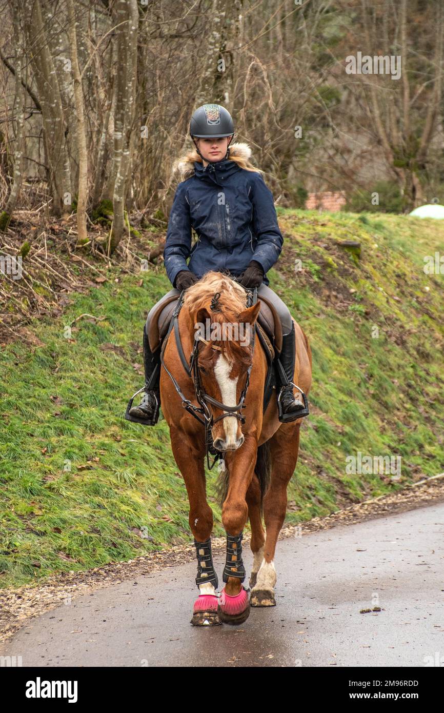 Beautiful blonde hair young girl riding a horse along a road in the ...
