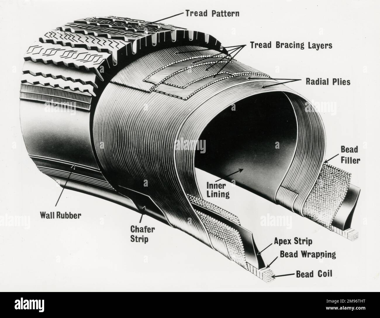 Radial ply construction, car tyre Stock Photo - Alamy