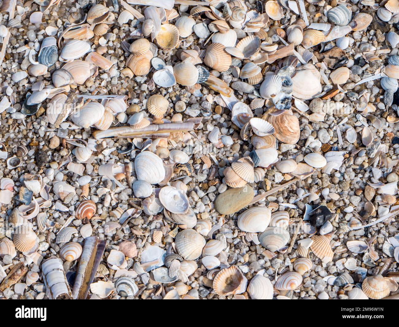 Mussel building hi-res stock photography and images - Alamy