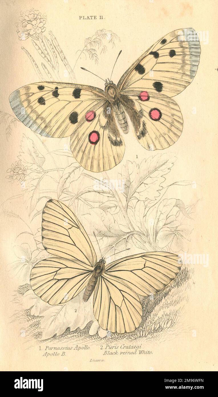 Apollo historical hi-res stock photography and images - Alamy