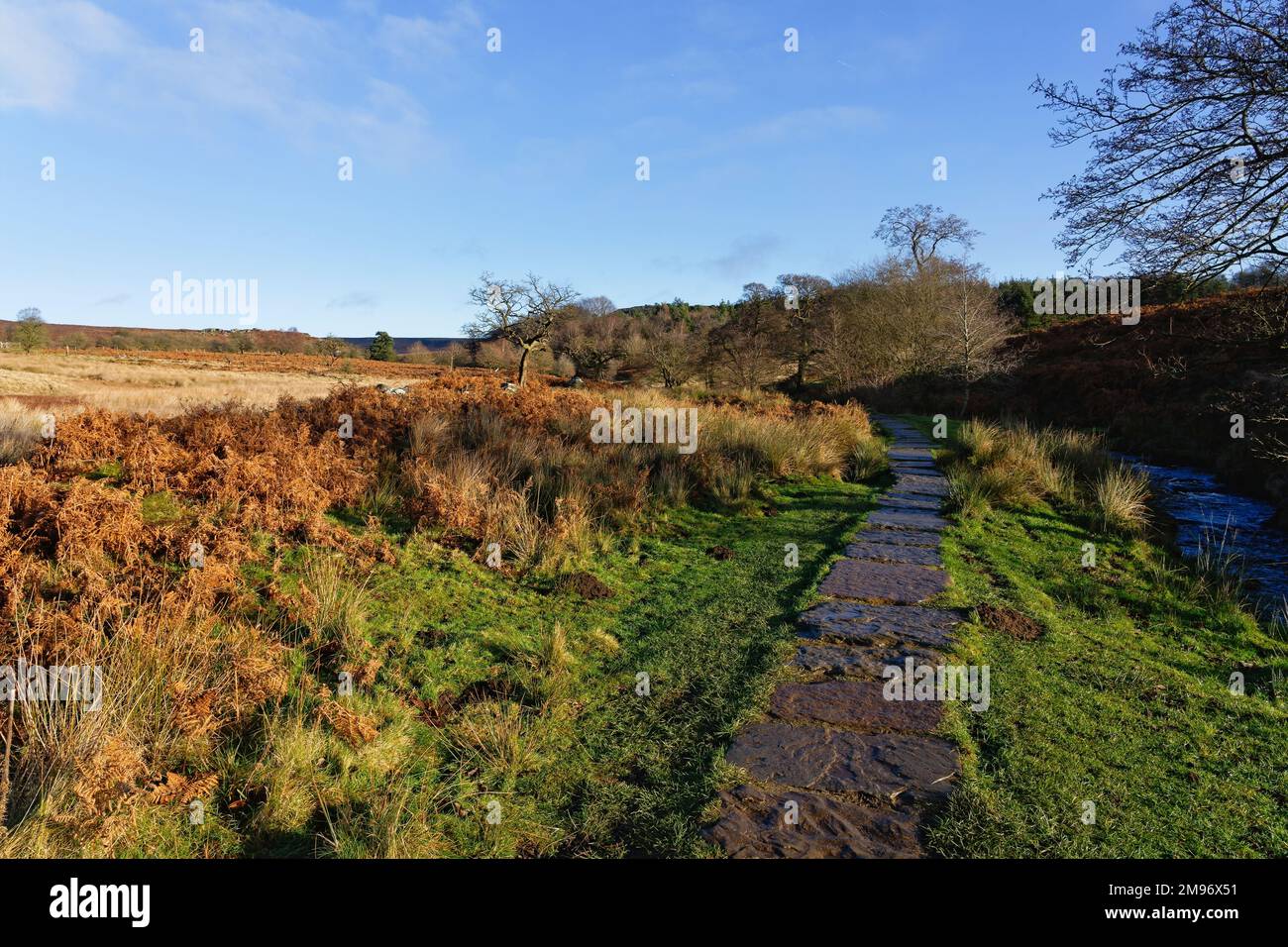 Wet gritstone path follows the meandering Burbage Brook across the ...