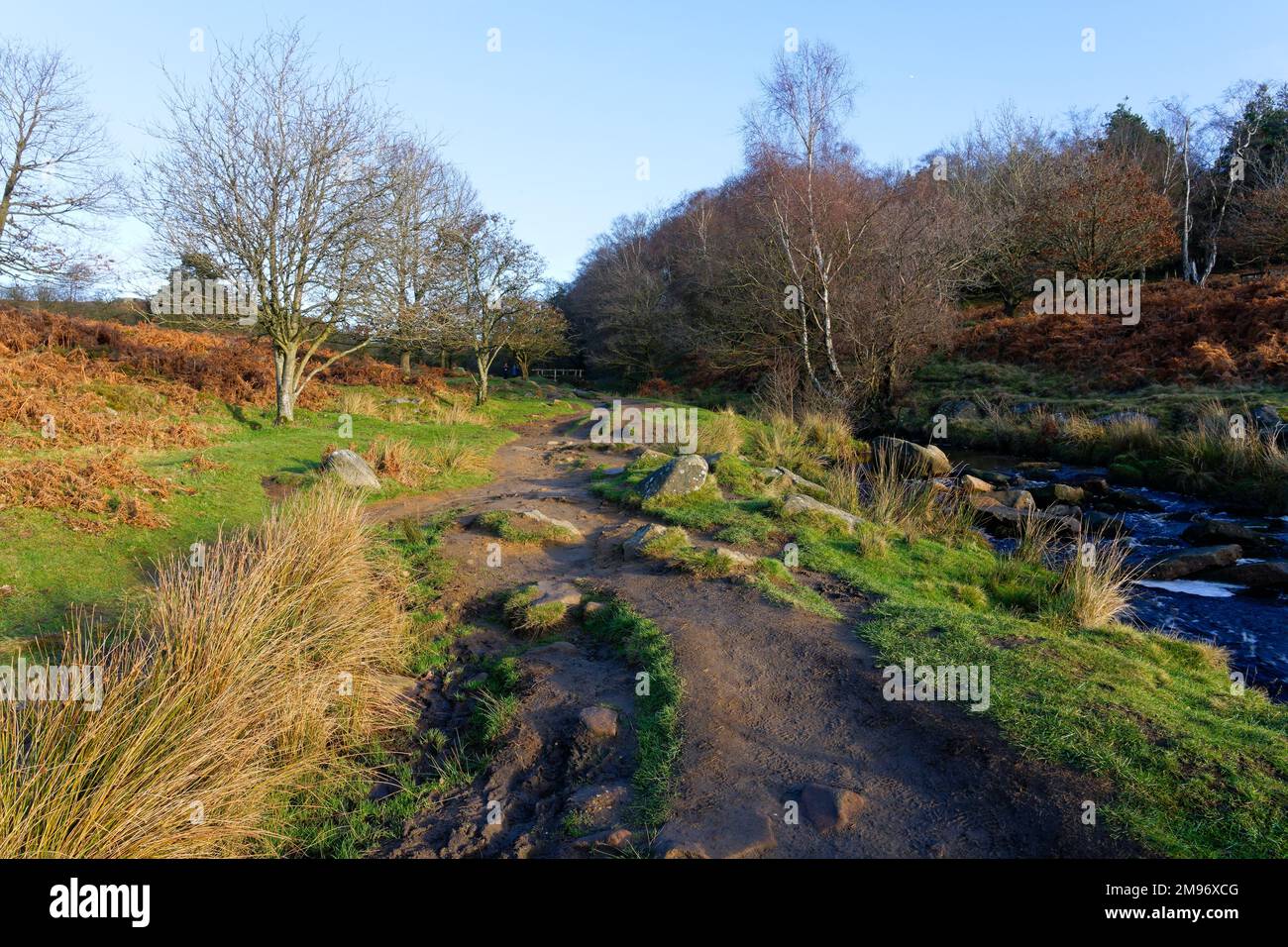Cold winter morning on a muddy path at the side of Burbage Brook Stock ...