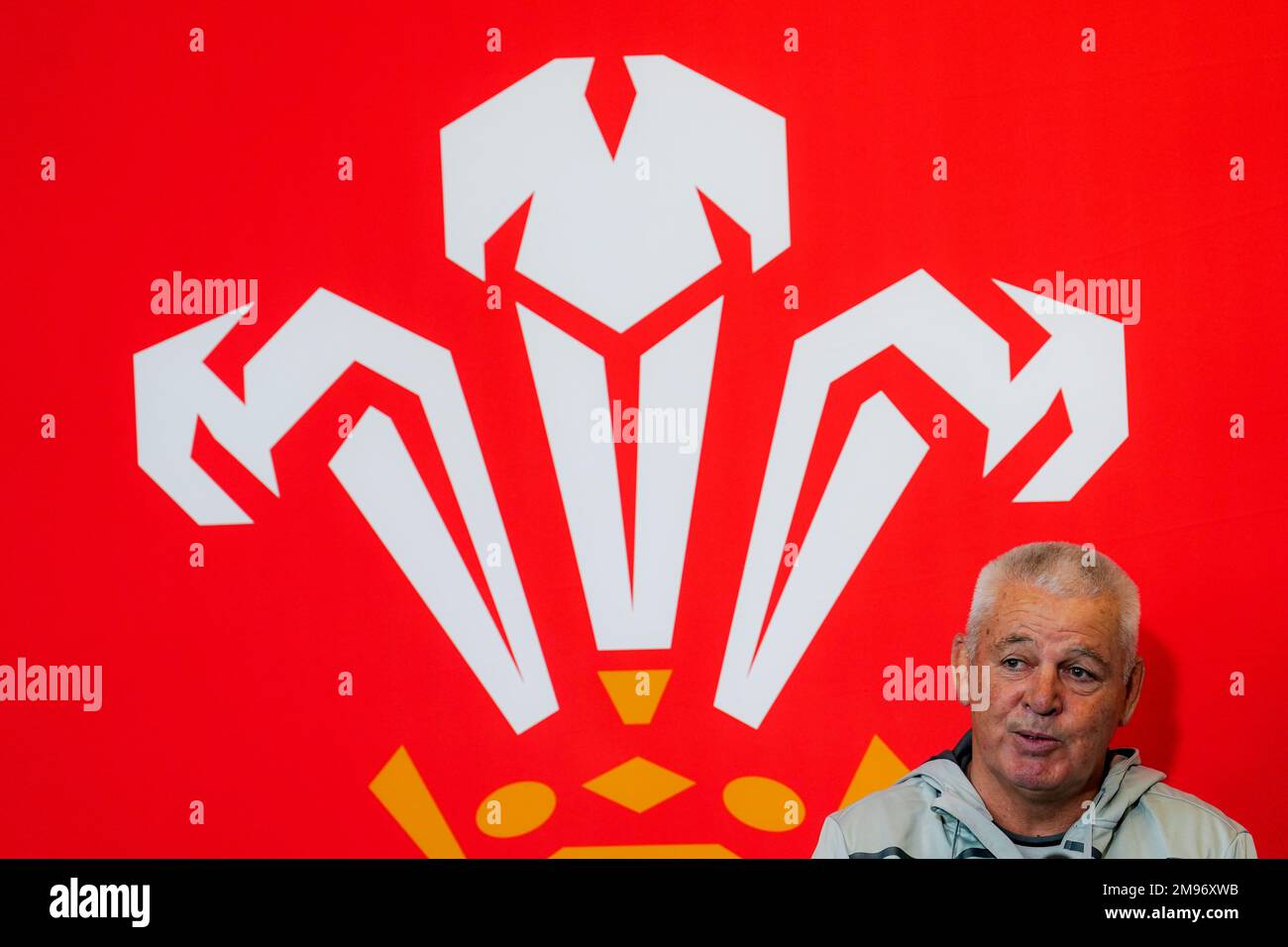 Rhys davies rugby hi-res stock photography and images - Alamy