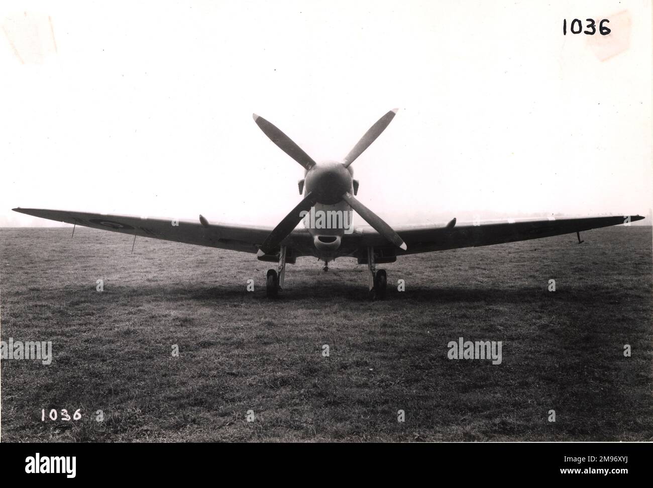 Seafire plane aircraft hi-res stock photography and images - Alamy