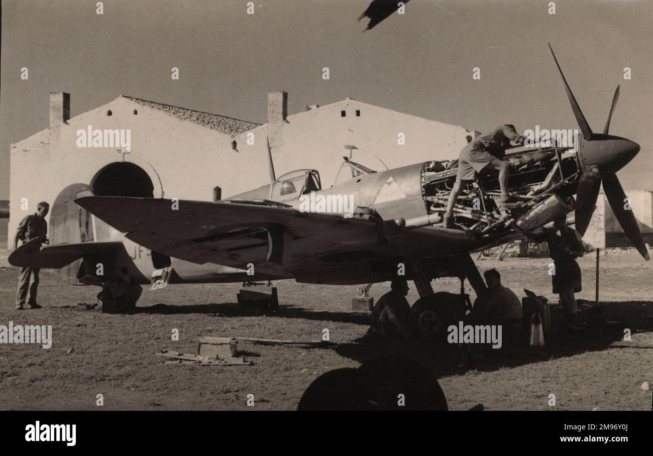 Supermarine Spitfire of the Desert Air Force being serviced in a ...