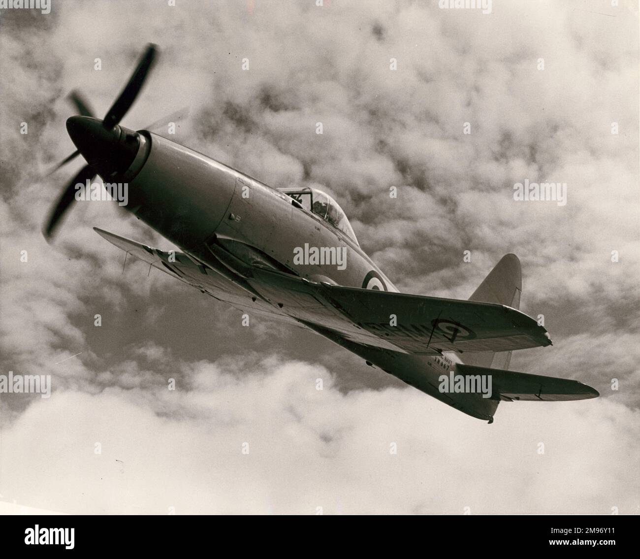 Westland Wyvern TF2, VW867, the first of 20 pre-production aircraft ...