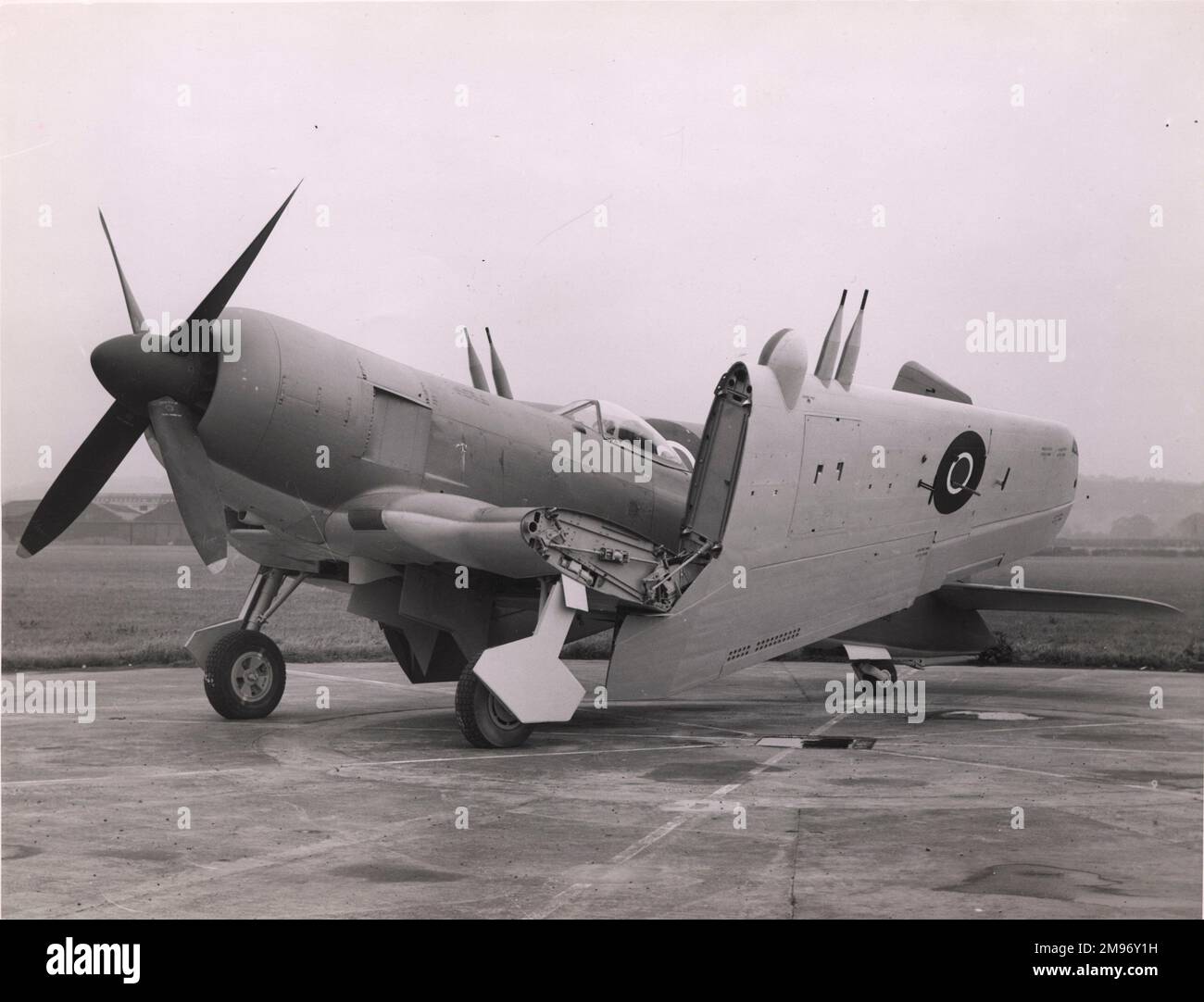 Firebrand hi-res stock photography and images - Alamy