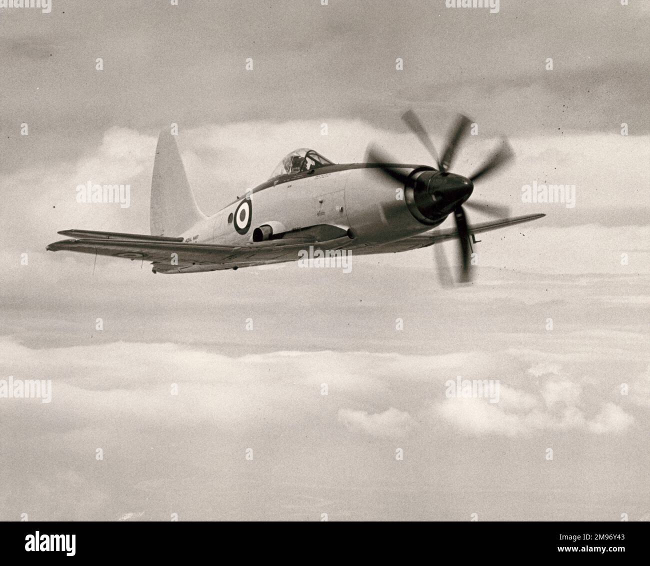 Westland Wyvern TF2 in flight Stock Photo - Alamy