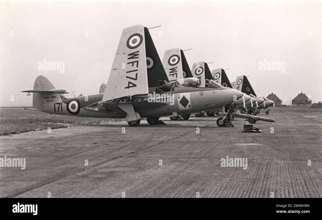 A line-up of Hawker Sea Hawk Is with wings folded Stock Photo - Alamy