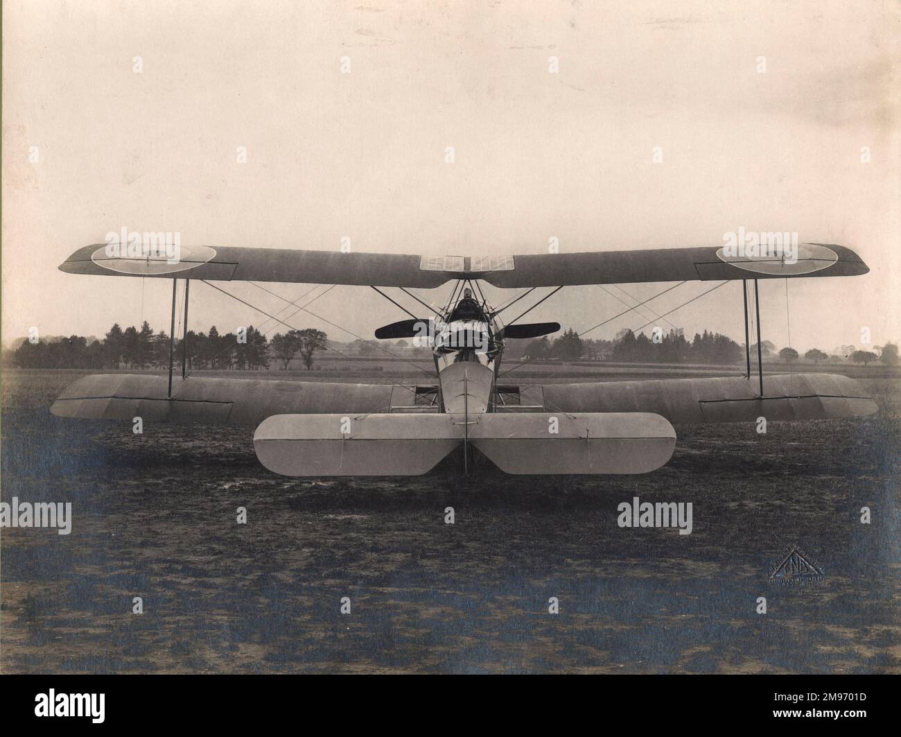 Strutter hi-res stock photography and images - Alamy