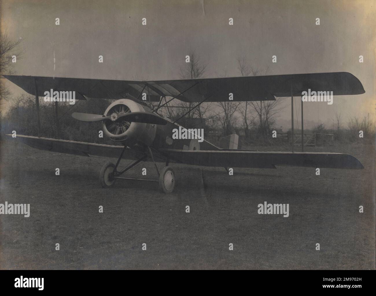 Sopwith 1½ Strutter single-seat bomber Stock Photo - Alamy