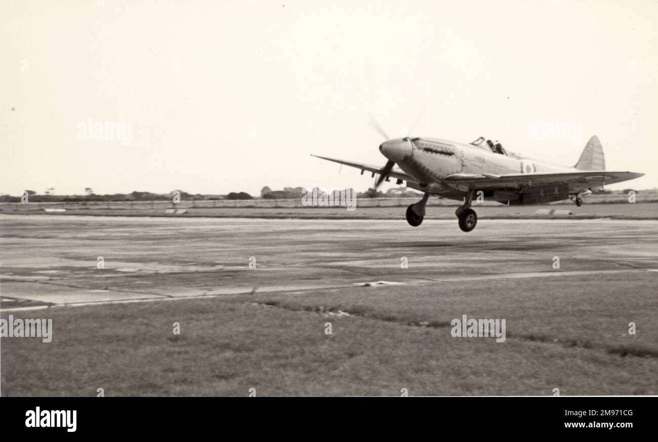 Seafire plane aircraft hi-res stock photography and images - Alamy