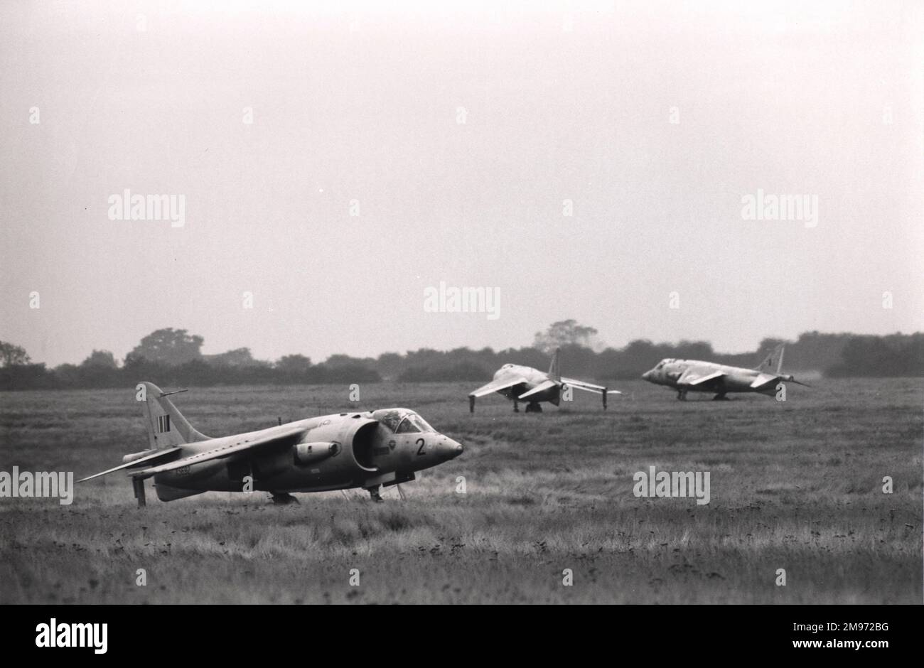 Hawker Siddeley Kestrel FGA1s Stock Photo - Alamy