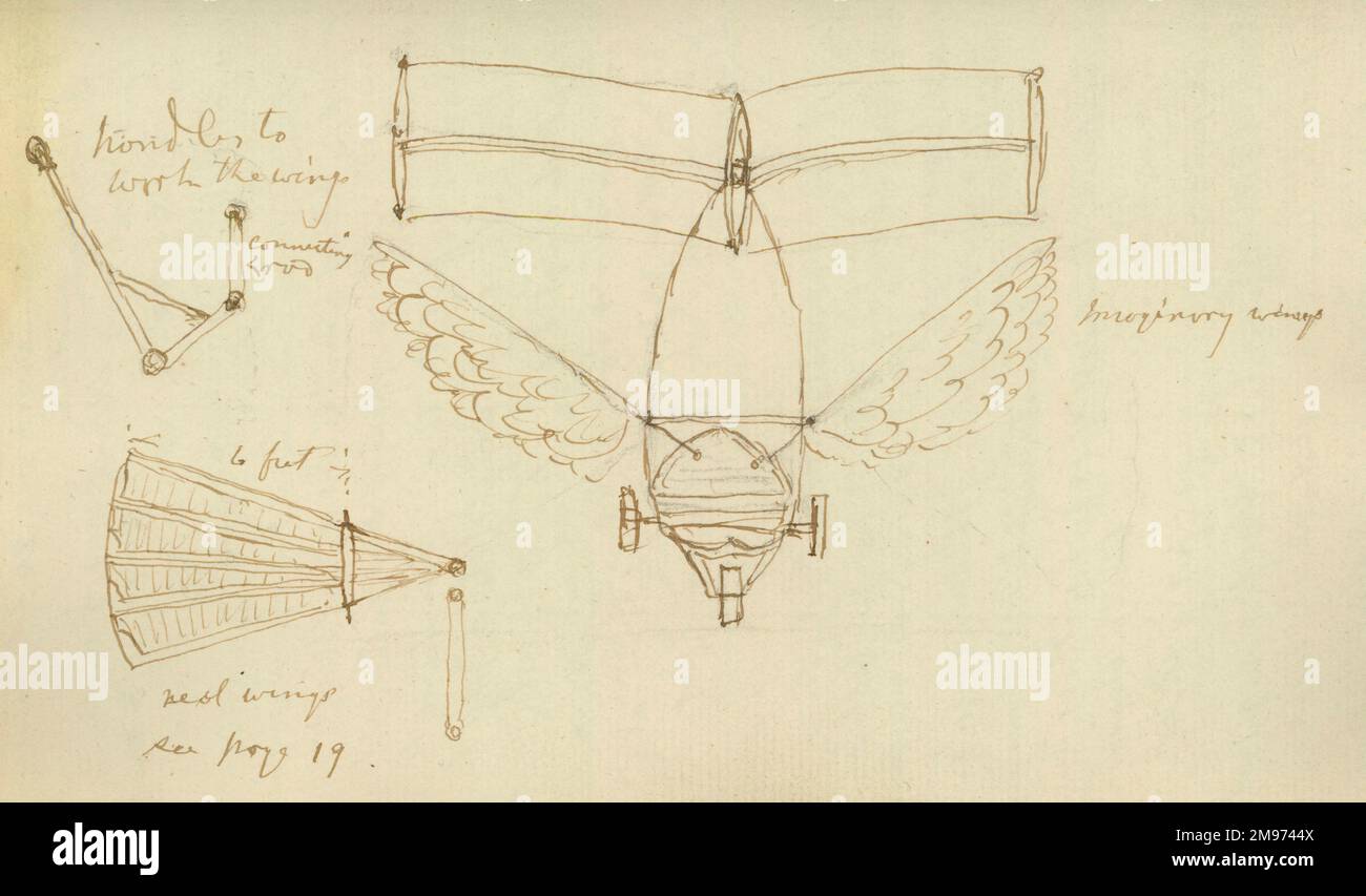 (a) Rear view of the 1849 boy-carrier, showing the dihedral angle of ...