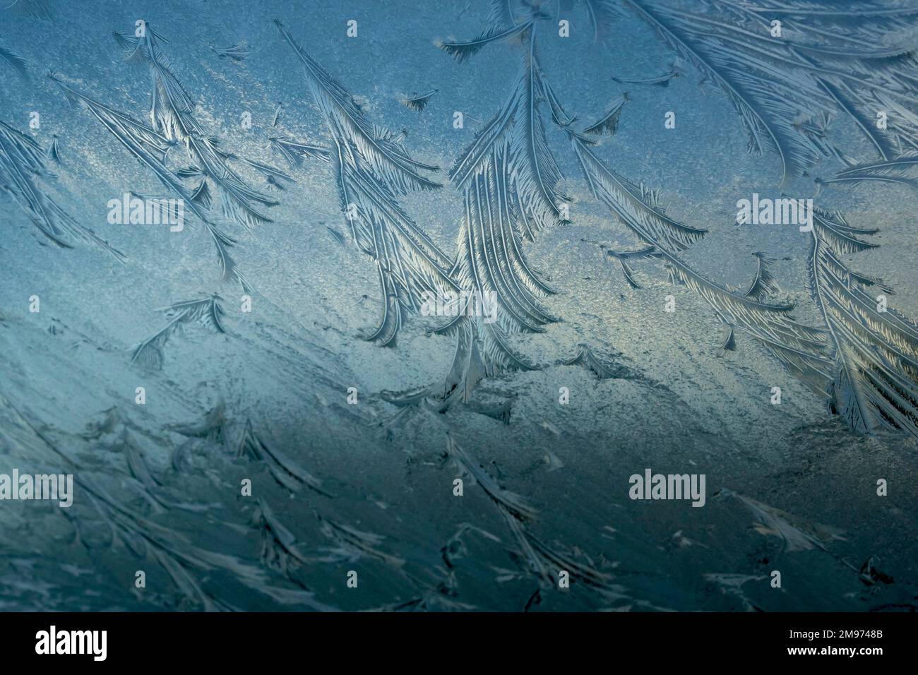 ice pattern on the frozen windshield Stock Photo - Alamy