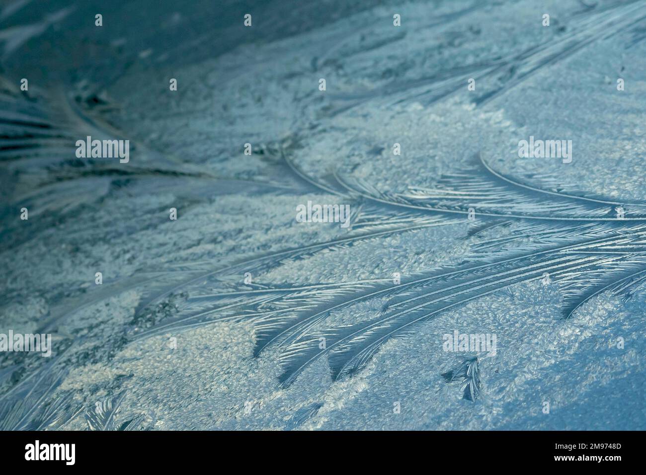 ice pattern on the frozen windshield Stock Photo - Alamy