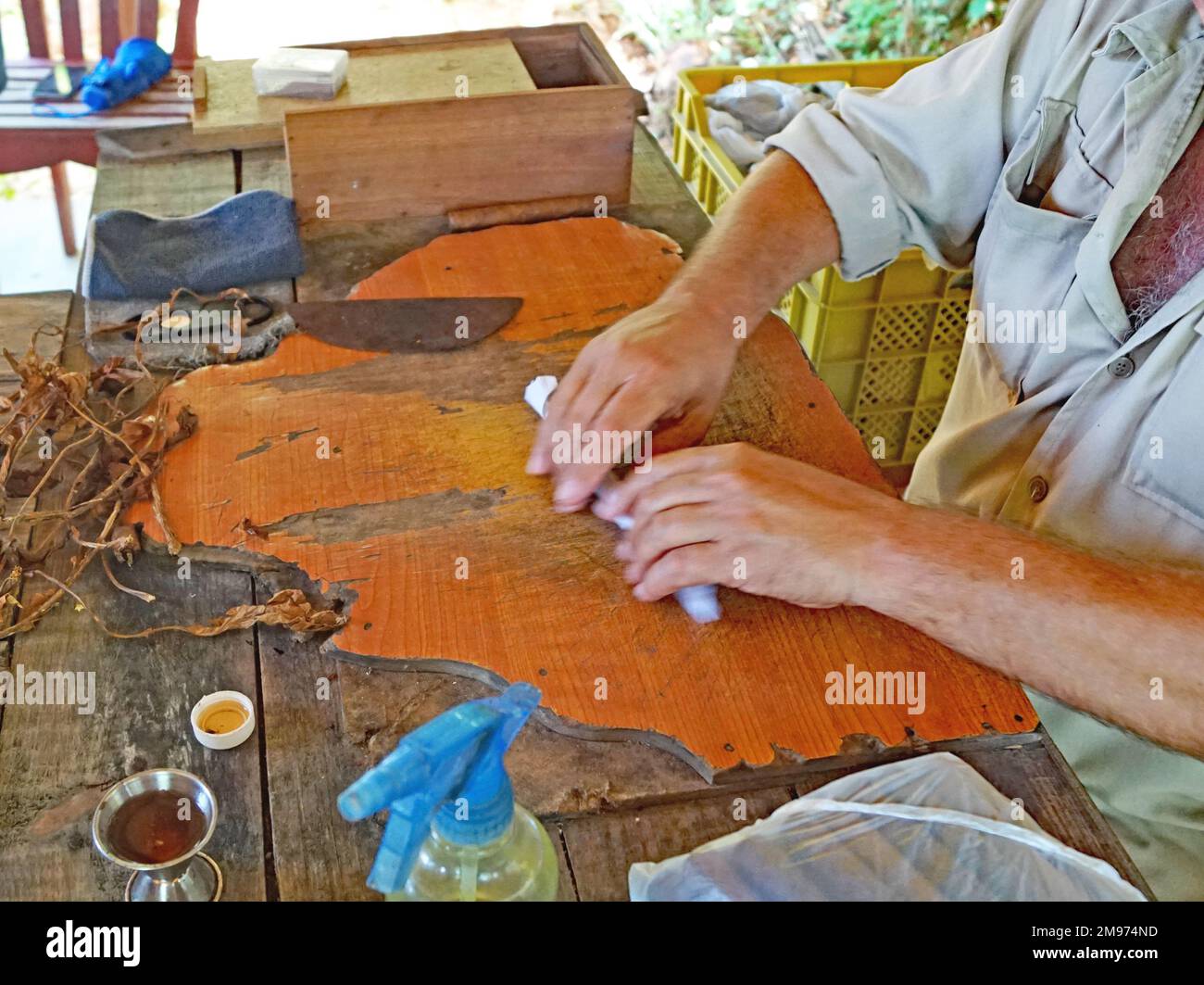 Hands making pure cigars by hand in the Viñales Valley, Republic of ...