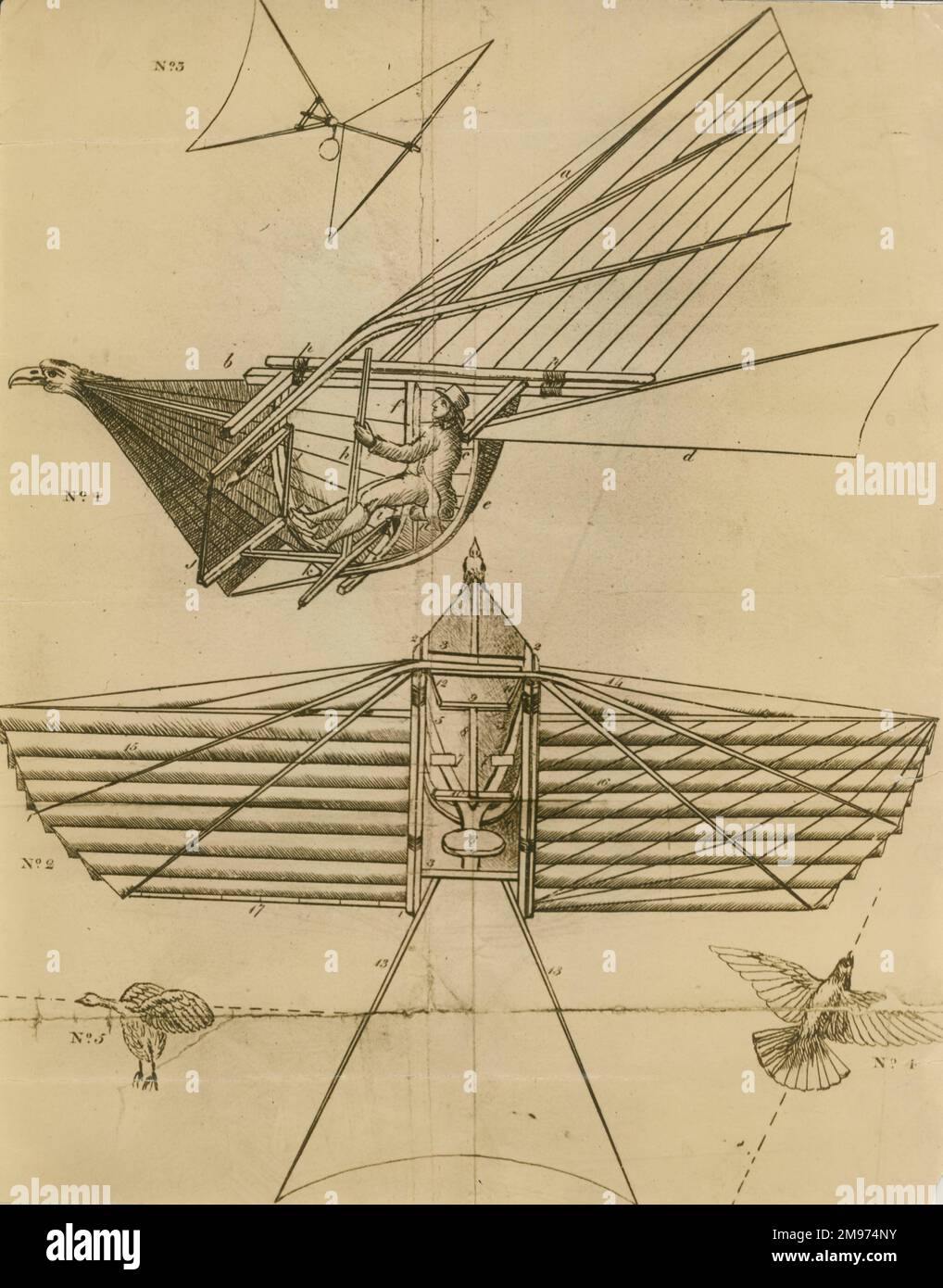 'ornithopter' hi-res stock photography and images - Alamy