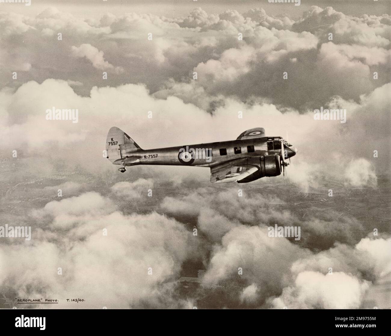 Britain first hi-res stock photography and images - Alamy