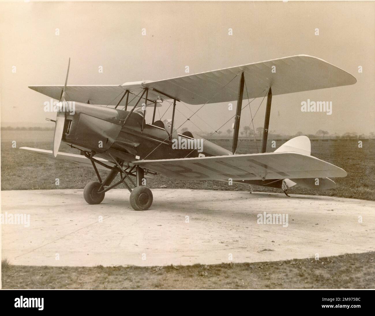 Moth major hi-res stock photography and images - Alamy