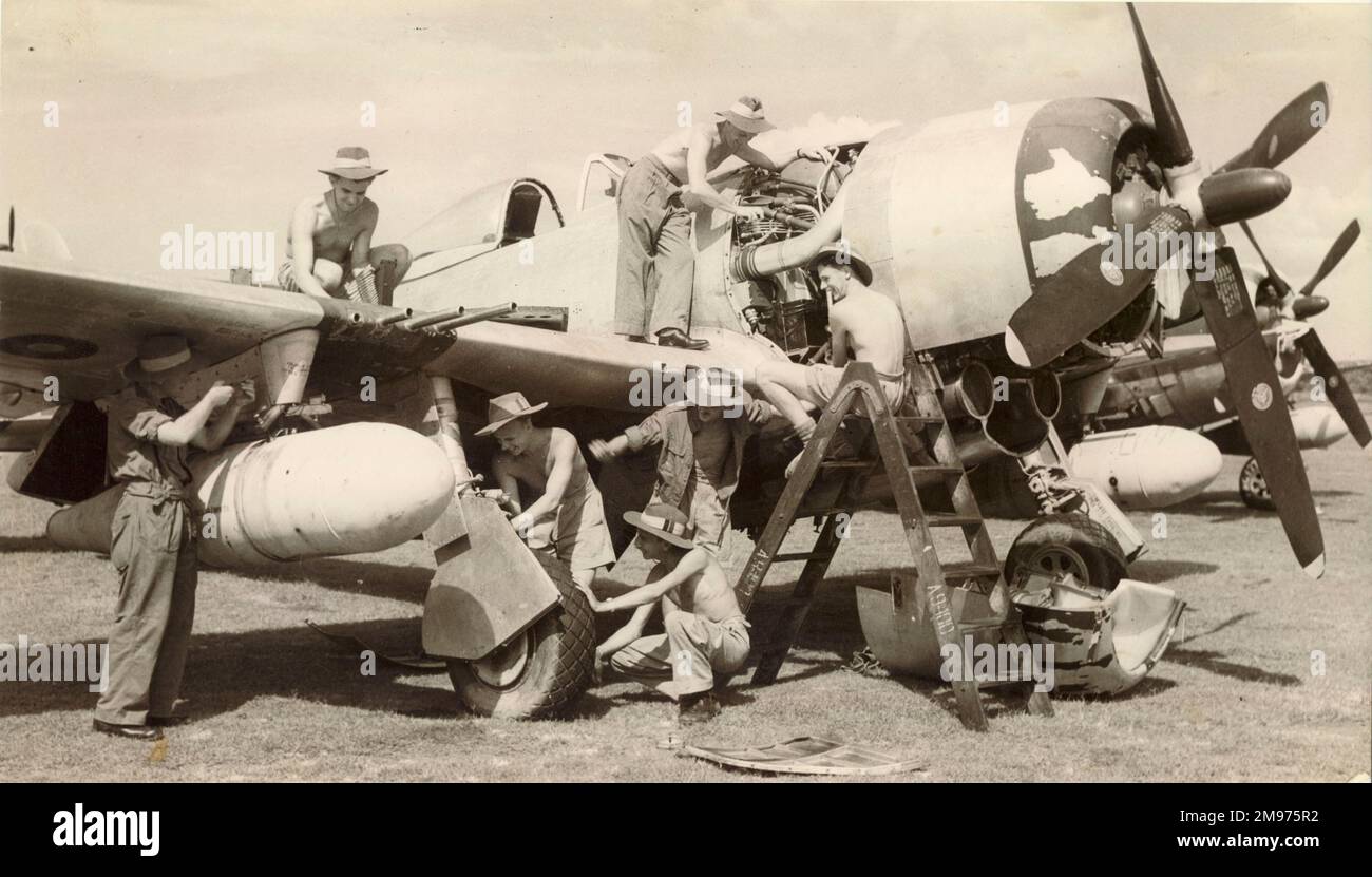 An RAF ground crew service a Republic P-47 Thunderbolt at Kemajoran ...