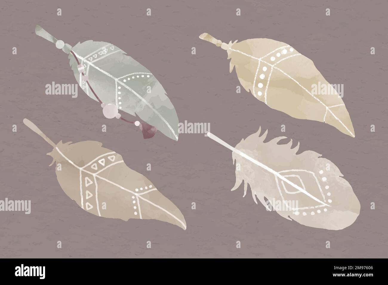Earth tone Boho feather vector collection Stock Vector Image & Art - Alamy