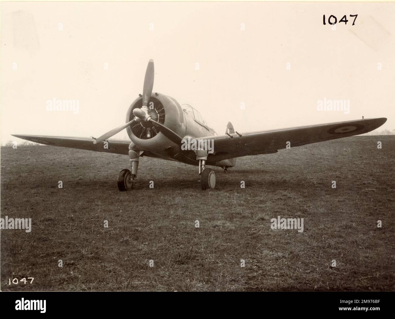 Curtiss Model 75 Mohawk, AR644 Stock Photo - Alamy