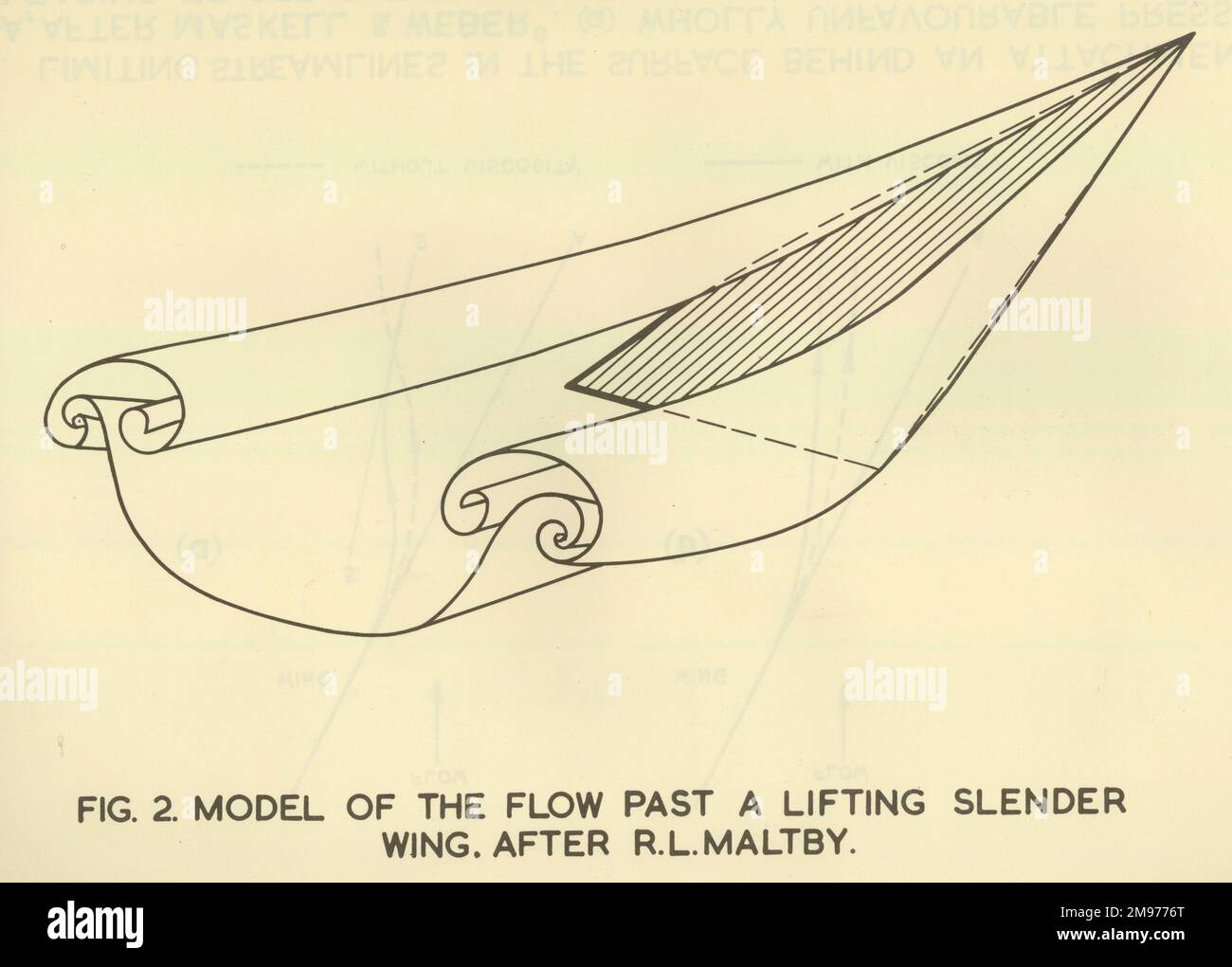 Figure 2 from 56007286. Model of the flow past a lifting slender wing ...
