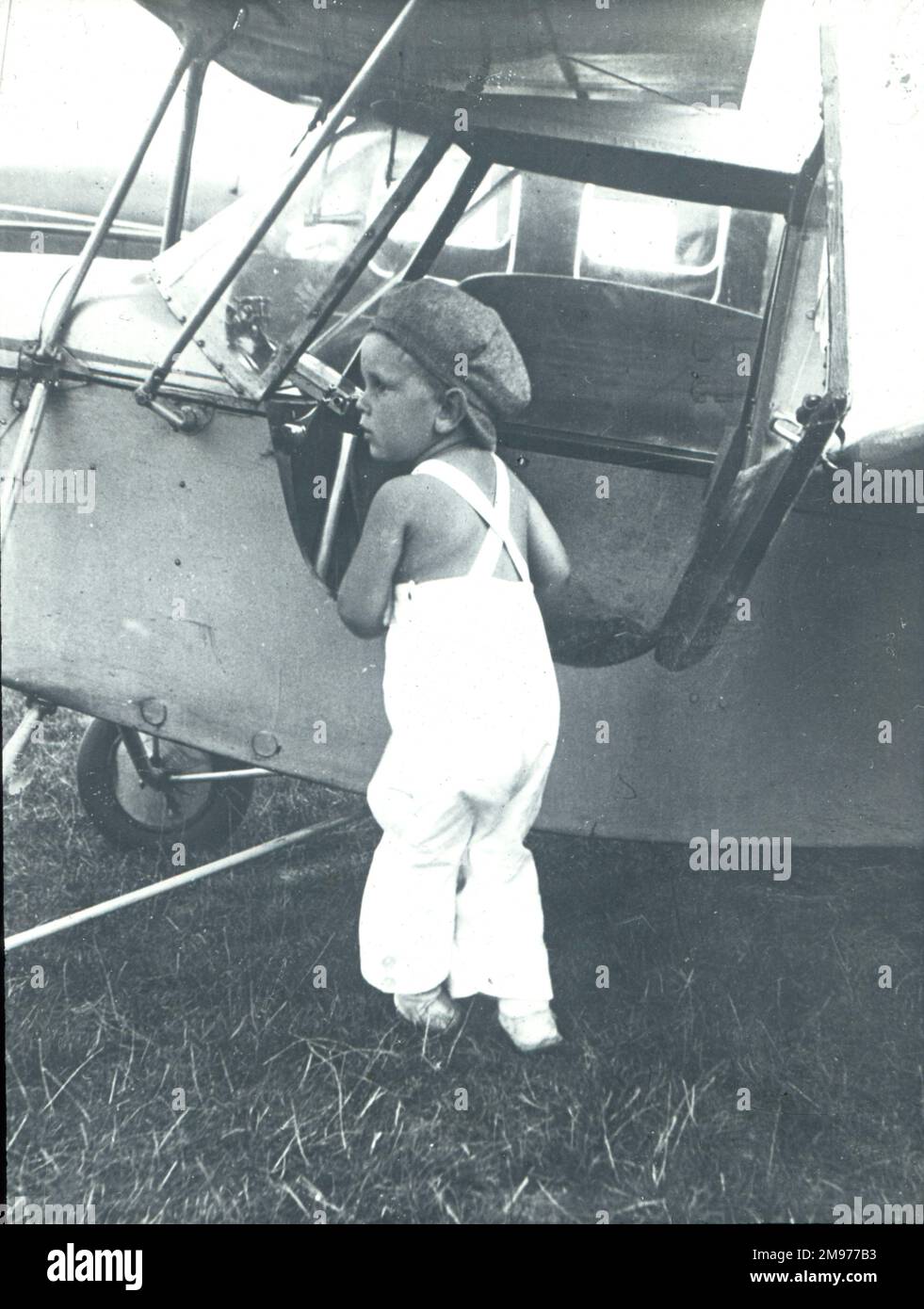 Mignet Flying Flea Stock Photo - Alamy