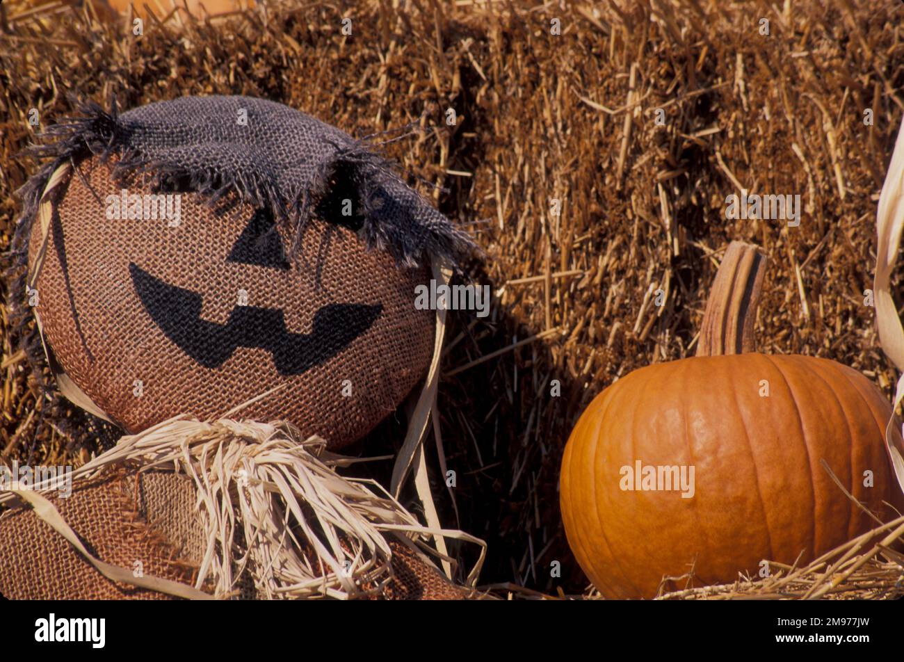 A Halloween decoration on a hay Stock Photo - Alamy