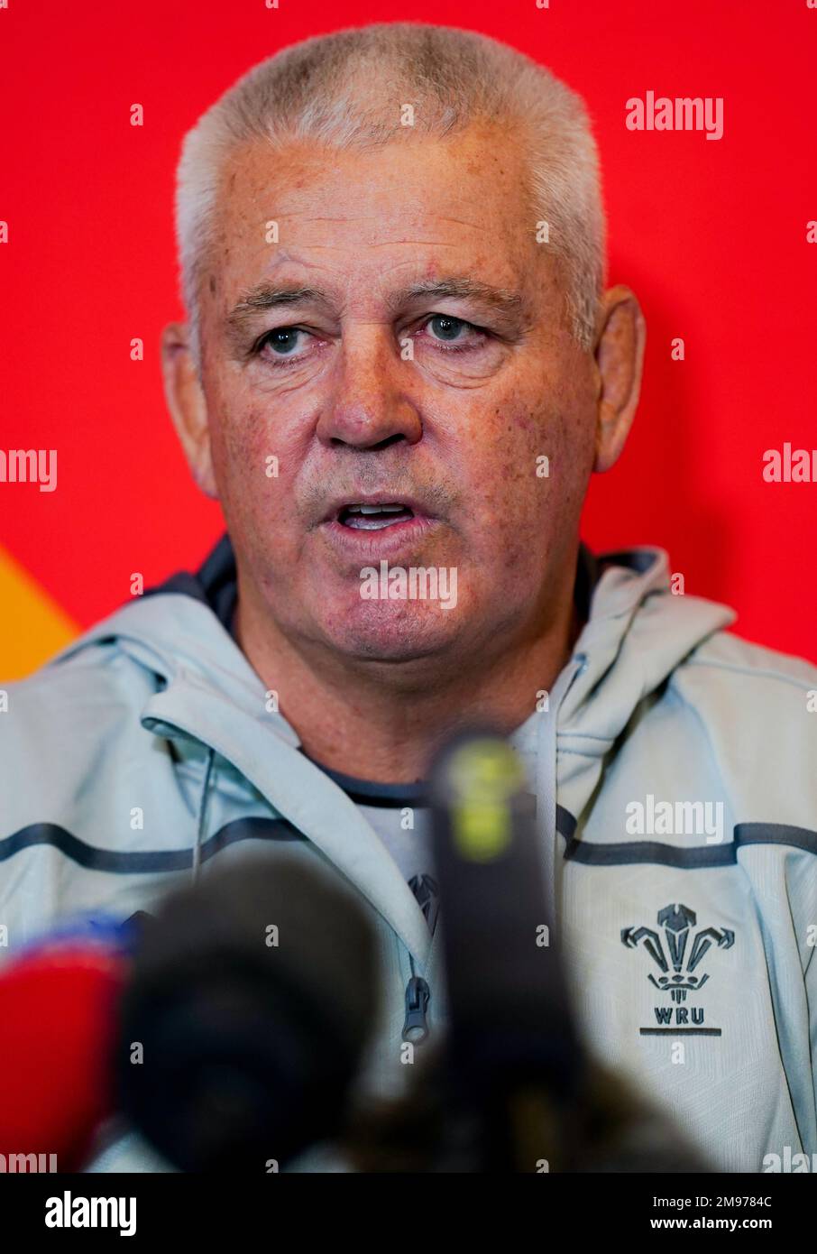Rhys davies rugby hi-res stock photography and images - Alamy