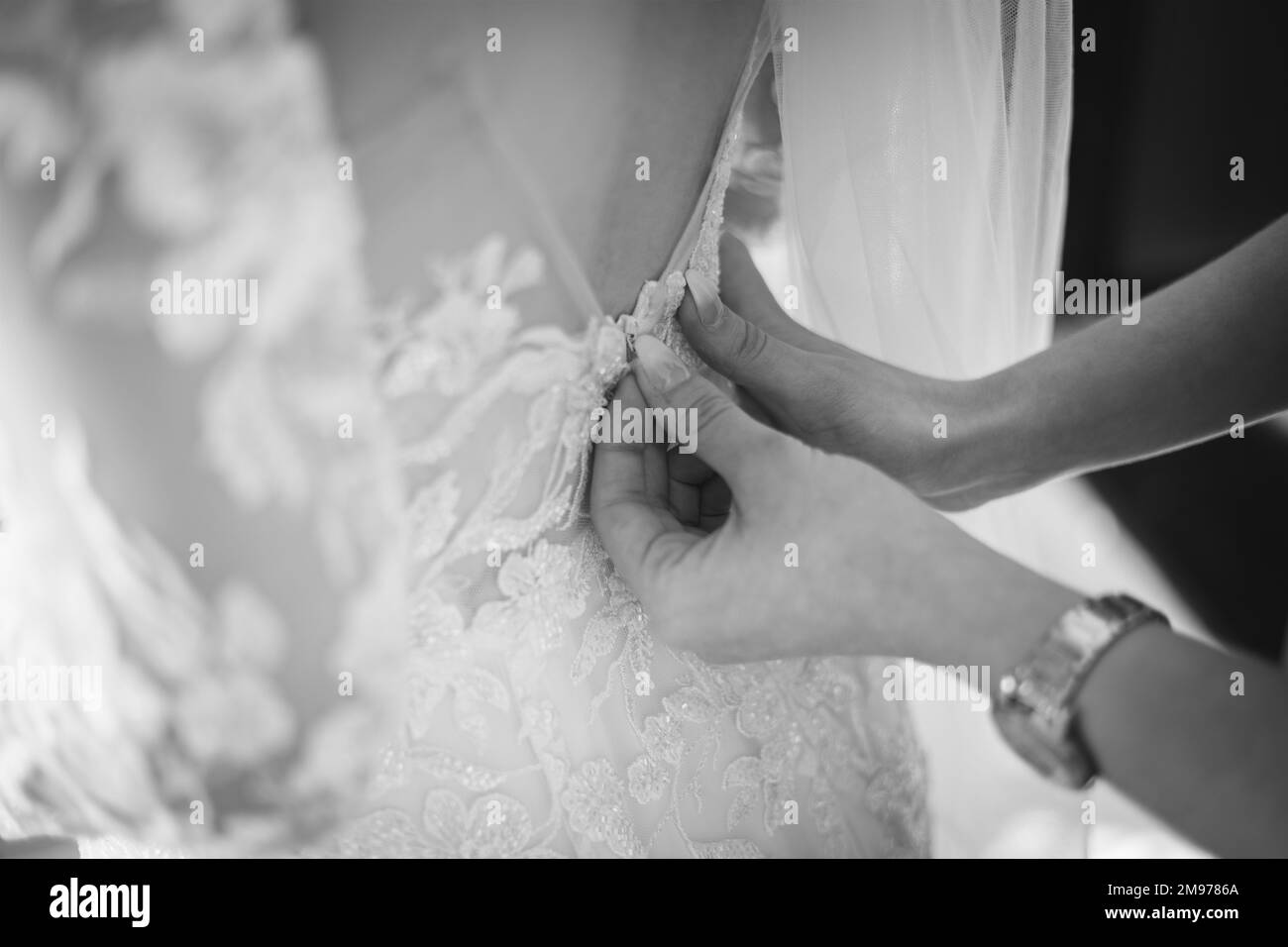 A view of female hands helping bride to wear wedding dress Stock Photo ...
