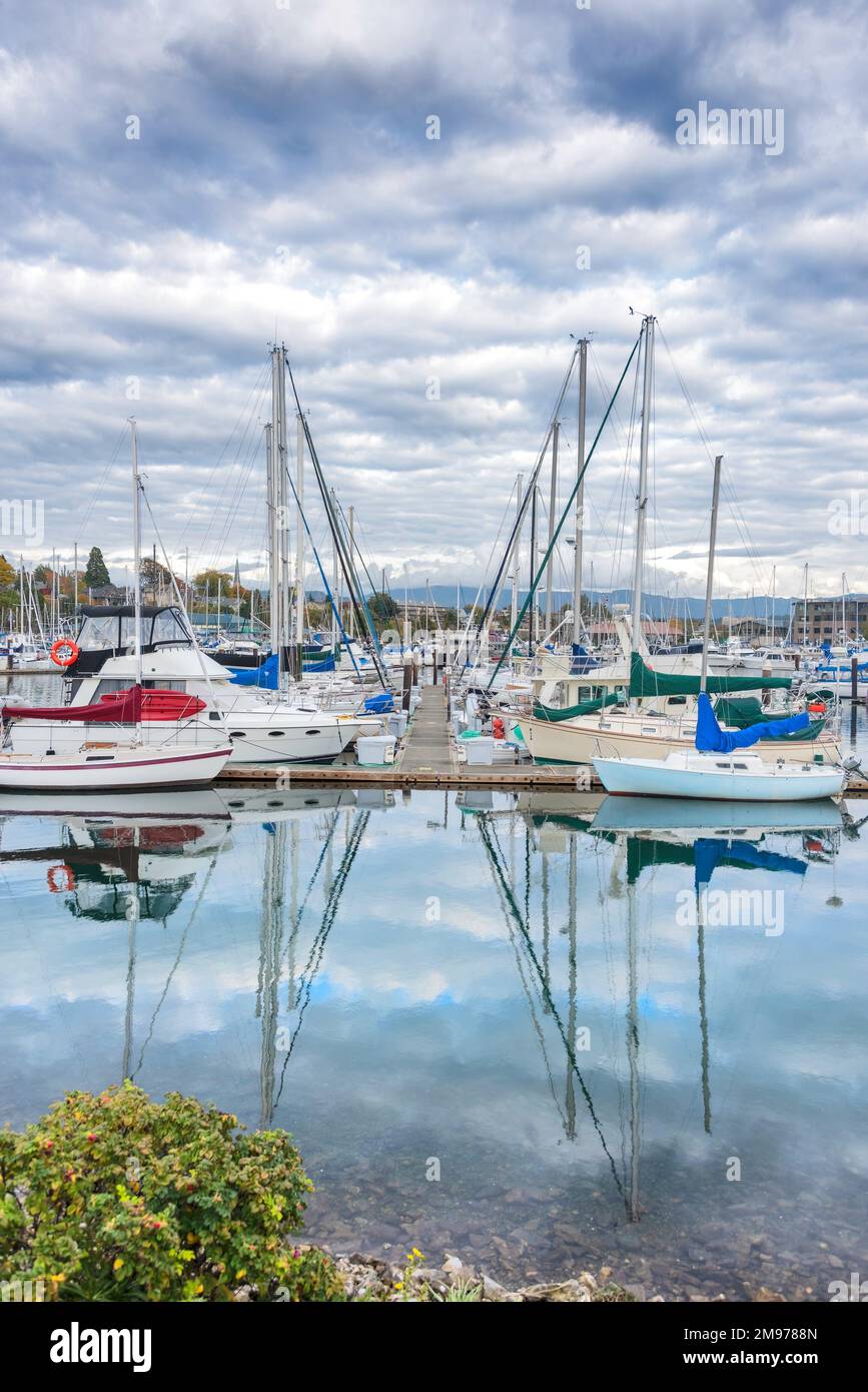 Sailing boats yachts at mooring line on Pacific ocean Stock Photo - Alamy