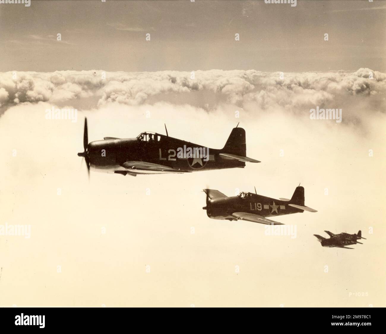 Four Grumman F6F Hellcats Stock Photo - Alamy