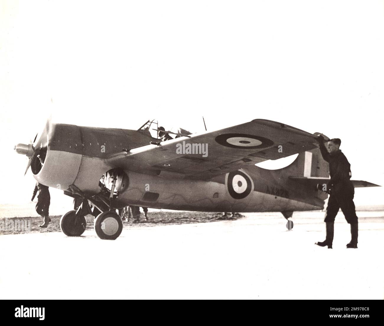 Grumman martlet hi-res stock photography and images - Alamy