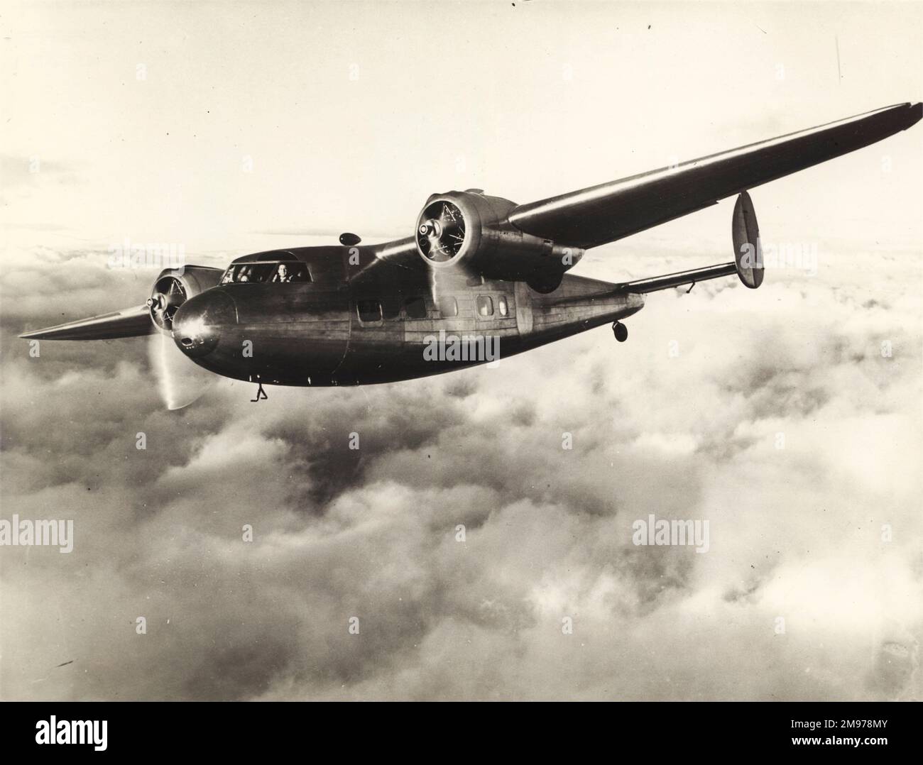 Flamingo and airplane hi-res stock photography and images - Alamy