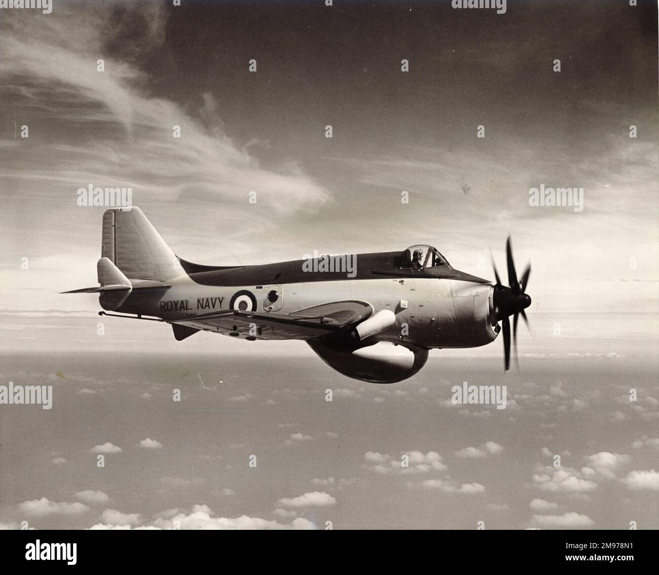 Fairey gannet plane hi-res stock photography and images - Alamy