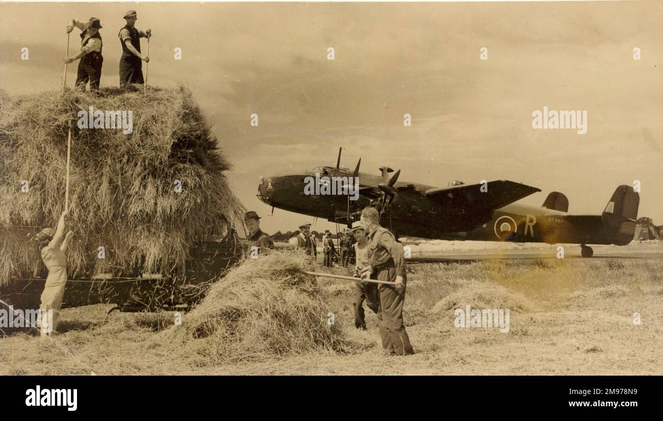 Handley Page Halifax II, DT807, 5 August 1943 Stock Photo - Alamy