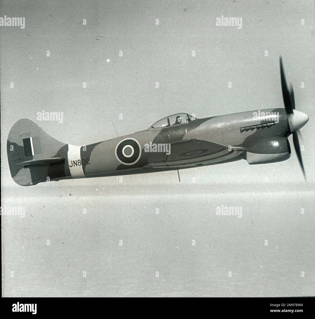Hawker Tempest V, JN802 Stock Photo - Alamy