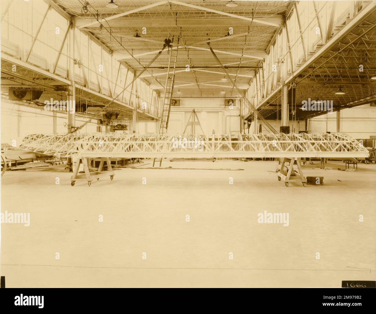 Section of wing hi-res stock photography and images - Alamy