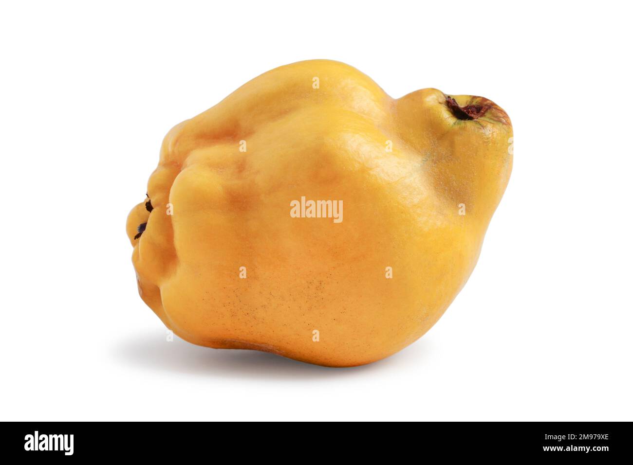 Ripe quince fruits on Cut Out Stock Images & Pictures - Alamy
