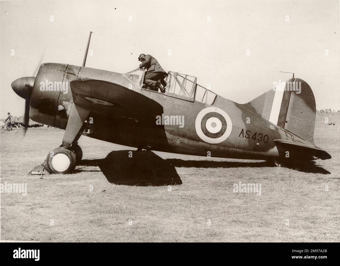 Brewster buffalo hi-res stock photography and images - Alamy