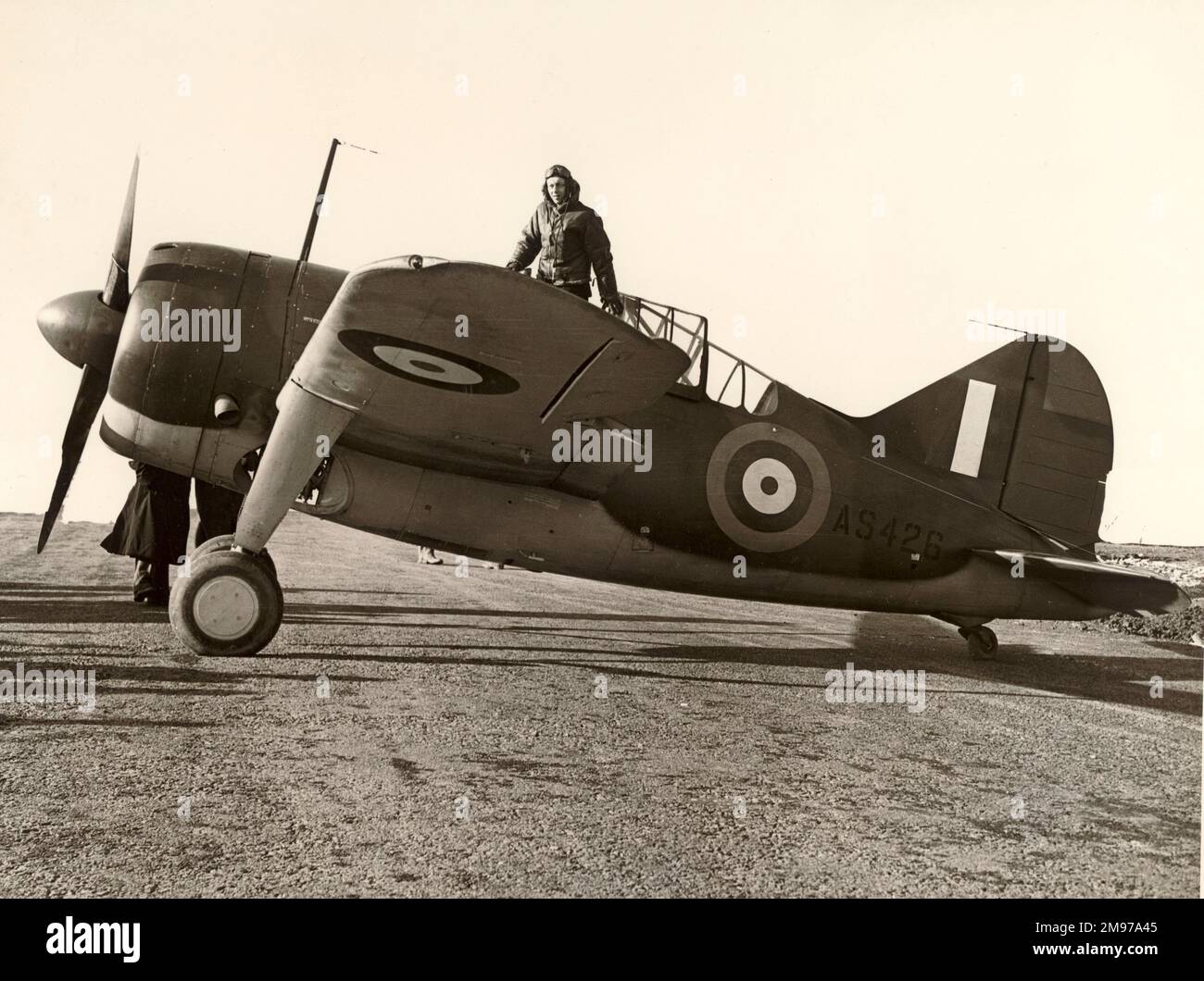 Brewster buffalo hi-res stock photography and images - Alamy